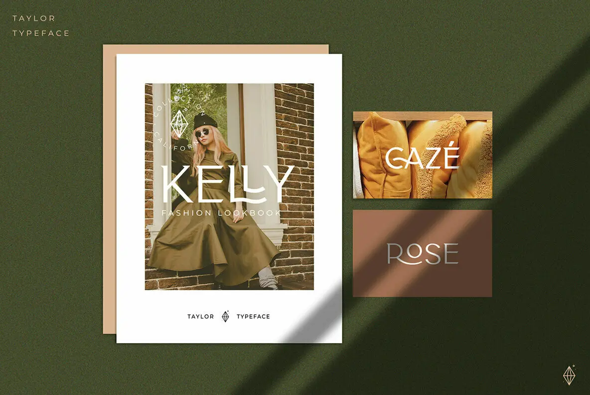 Taylor Typeface Font - YouWorkForThem