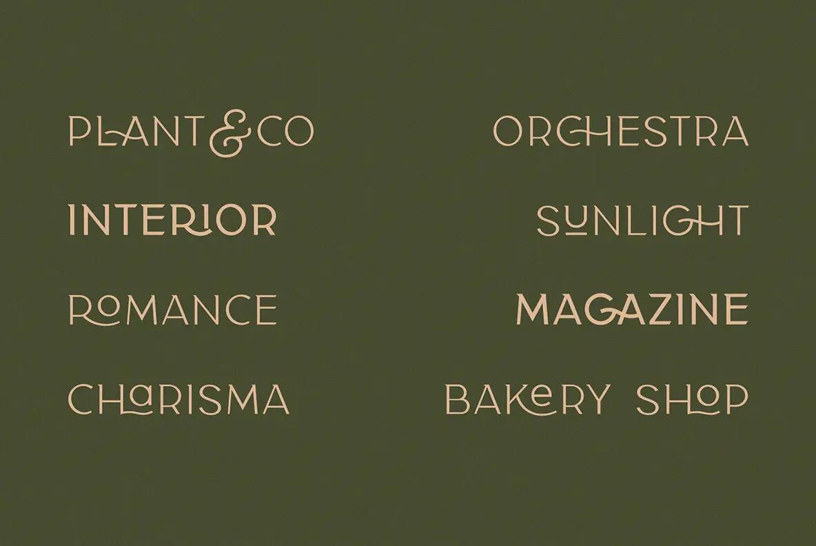 Taylor Typeface Font - YouWorkForThem