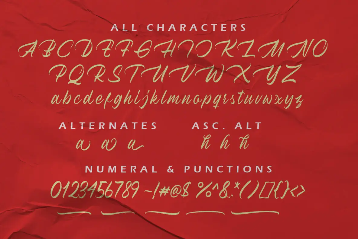 Holystone Font - YouWorkForThem