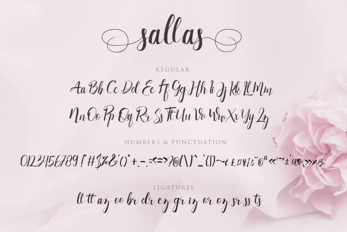 Sallas Font - YouWorkForThem