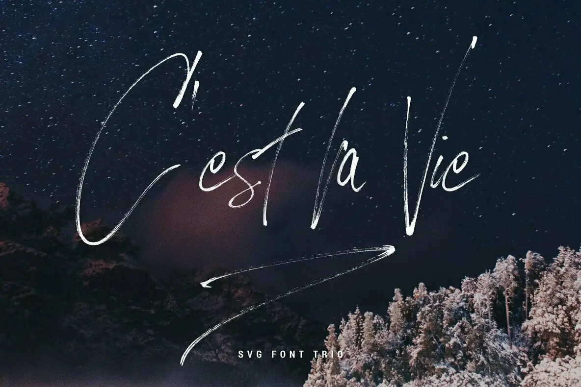 Loving Celine Signature SVG Font Trio - YouWorkForThem