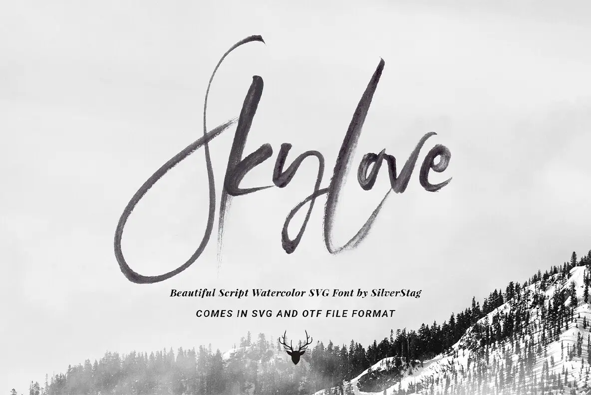 Creative Font Bundle - Limited Time Edition Font - FontPath