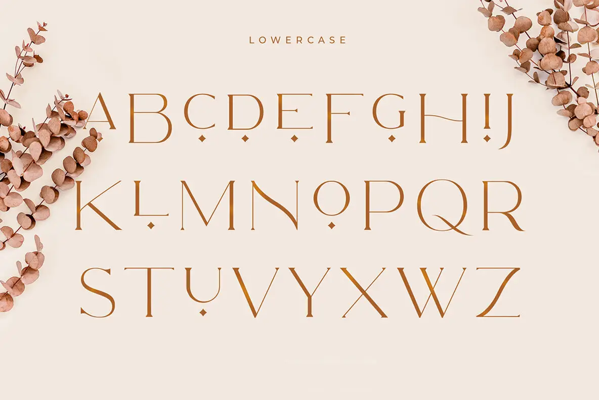 Nikole Font - YouWorkForThem