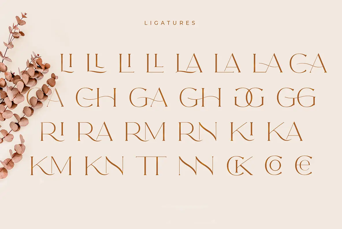 Nikole Font - YouWorkForThem