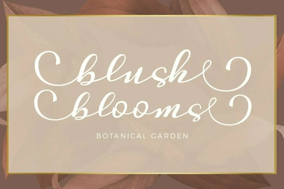 Desintona Script Font - FontPath