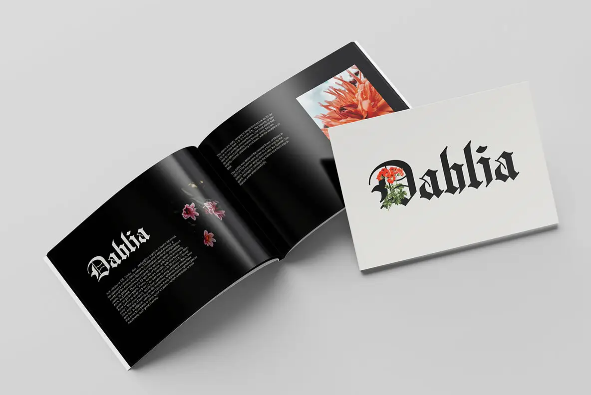 Fullerton Next Font - YouWorkForThem