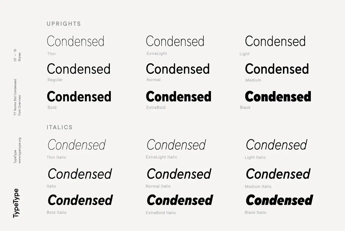 TT Norms Std Condensed Font - FontPath