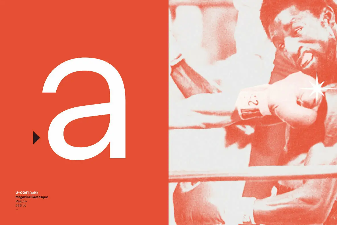 Magazine Grotesque Font - YouWorkForThem