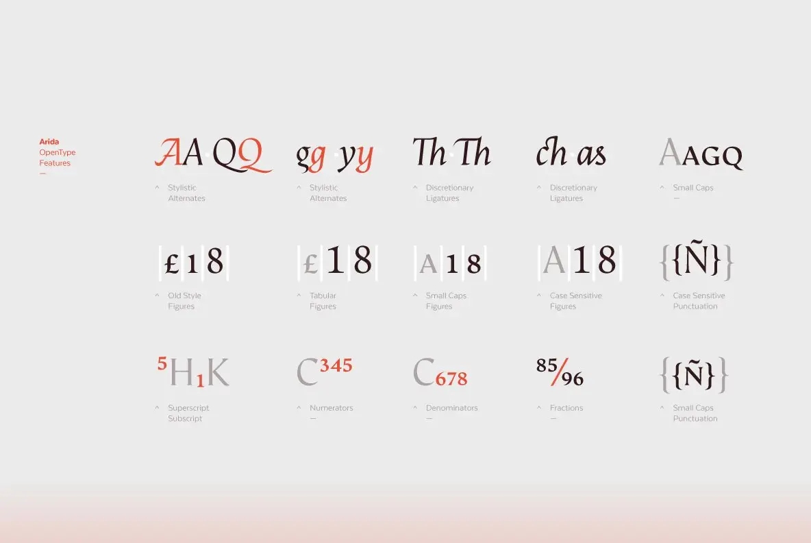 Arida Font - YouWorkForThem