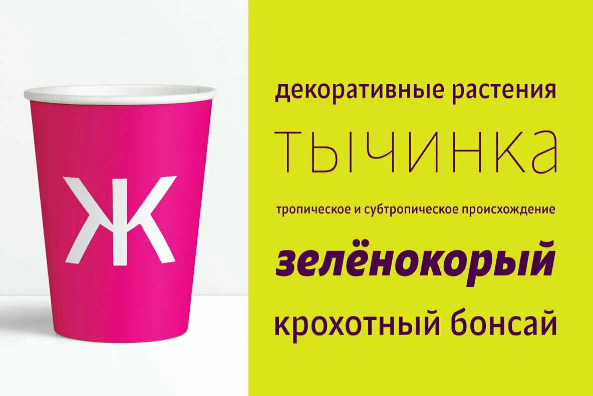 Alamia Font - YouWorkForThem