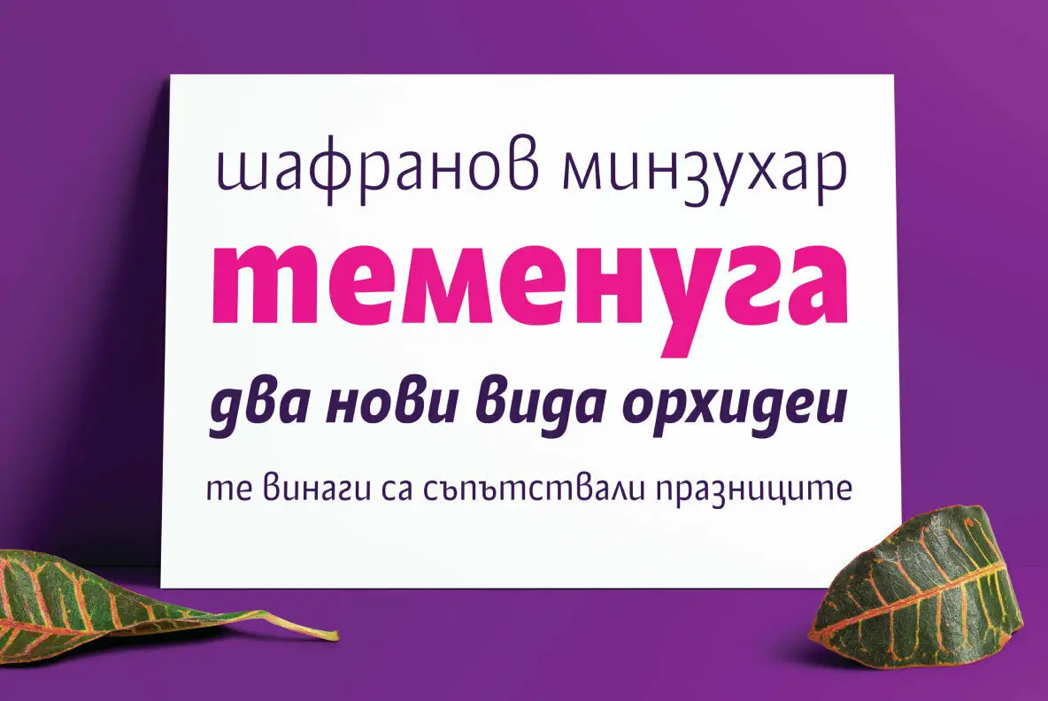 Alamia Font - YouWorkForThem