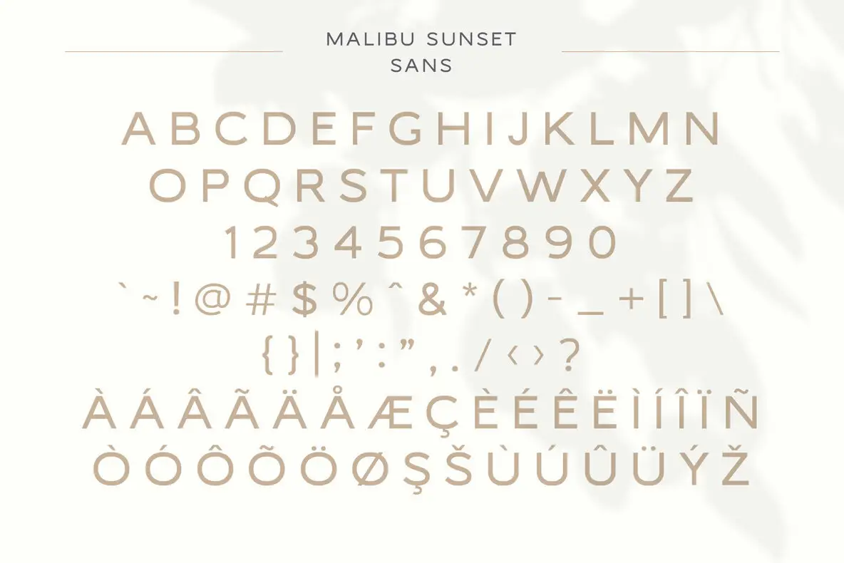 Malibu Sunset Font Duo - YouWorkForThem