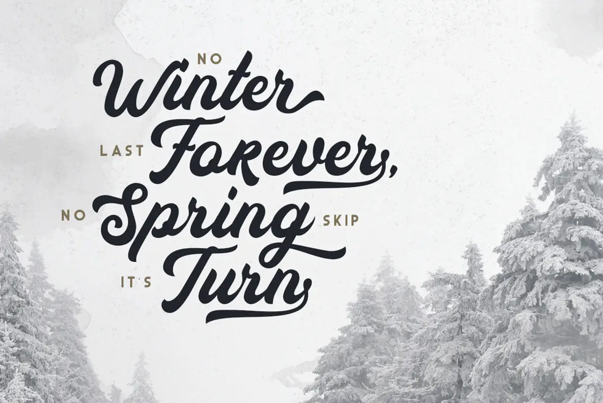 Auckland Script Font - FontPath