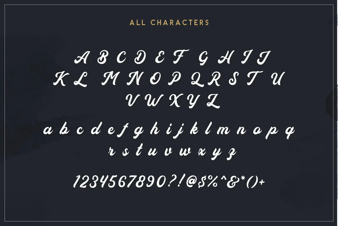 Auckland Script Font - YouWorkForThem