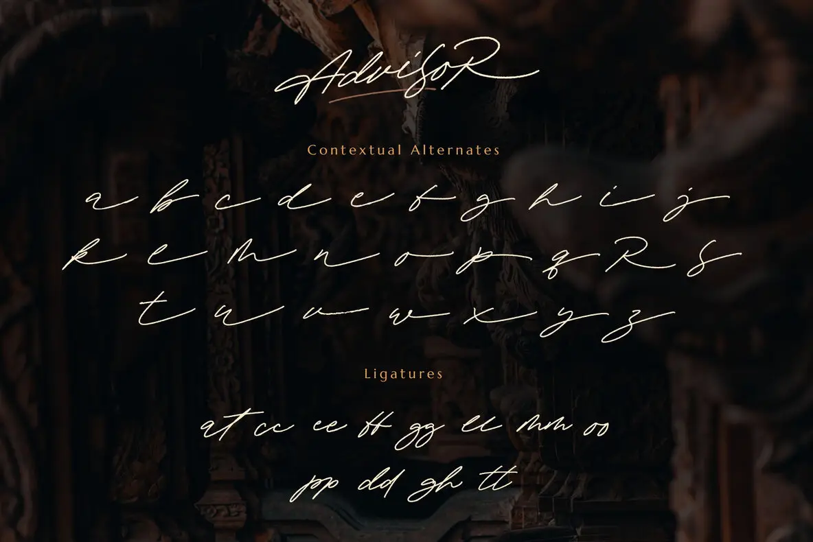 Advisor Font - YouWorkForThem