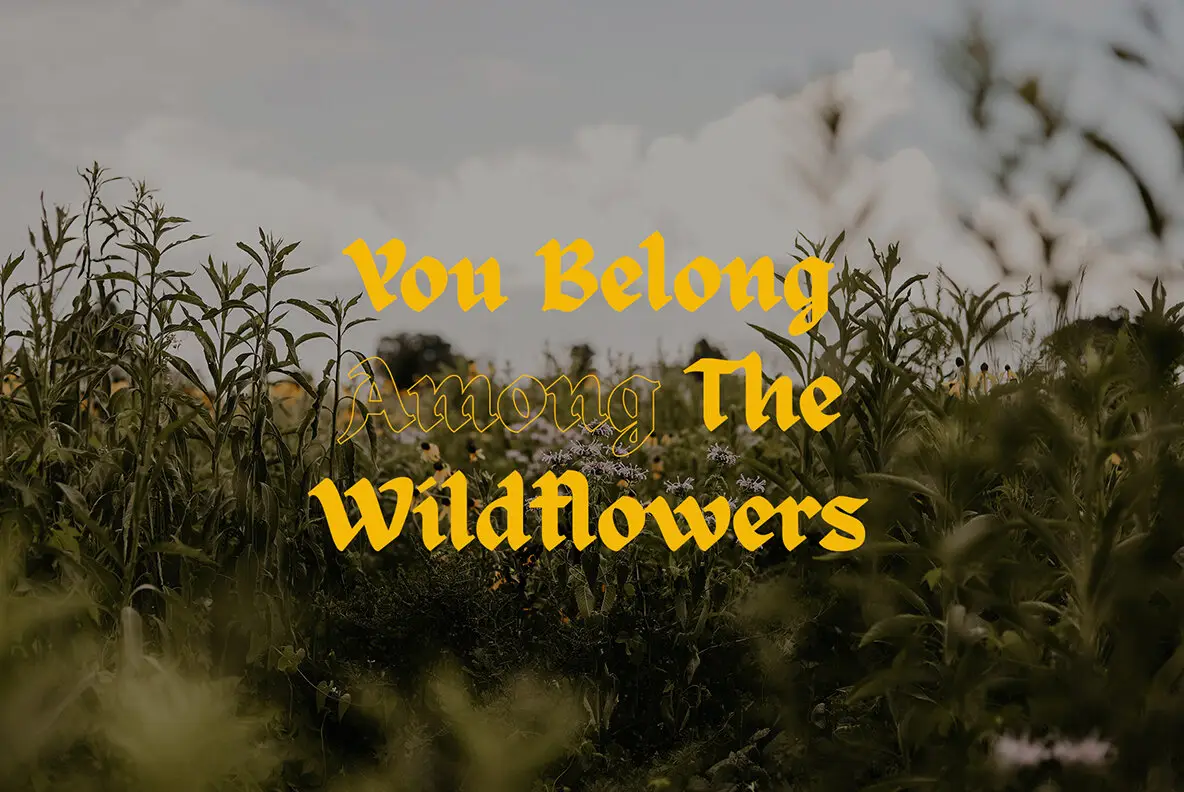 ED Celandine Font - YouWorkForThem