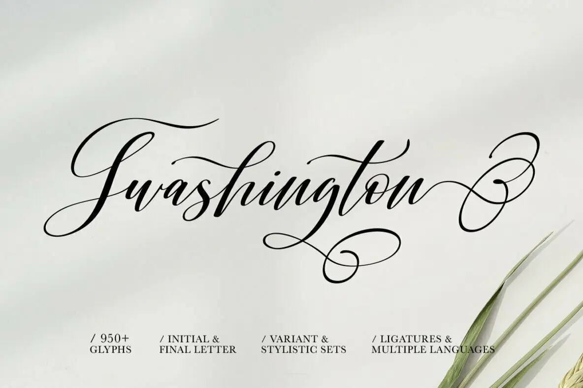 Shington Script Font - FontPath