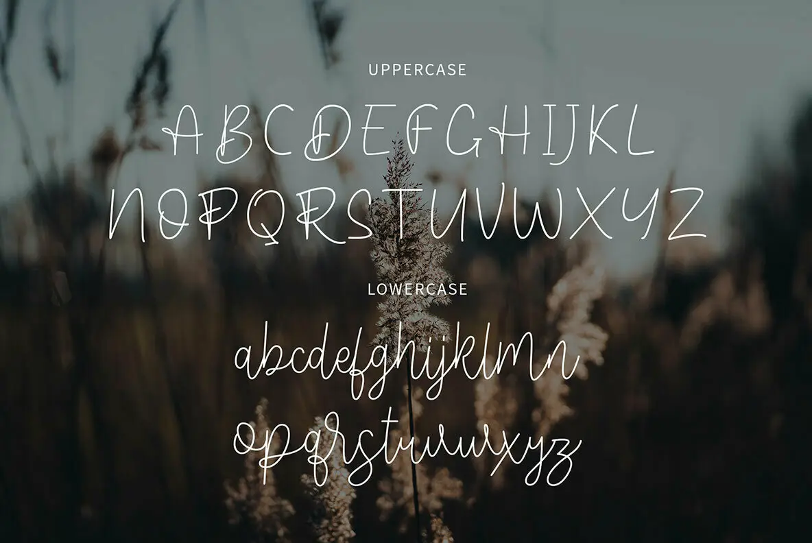 Veronica Font - FontPath