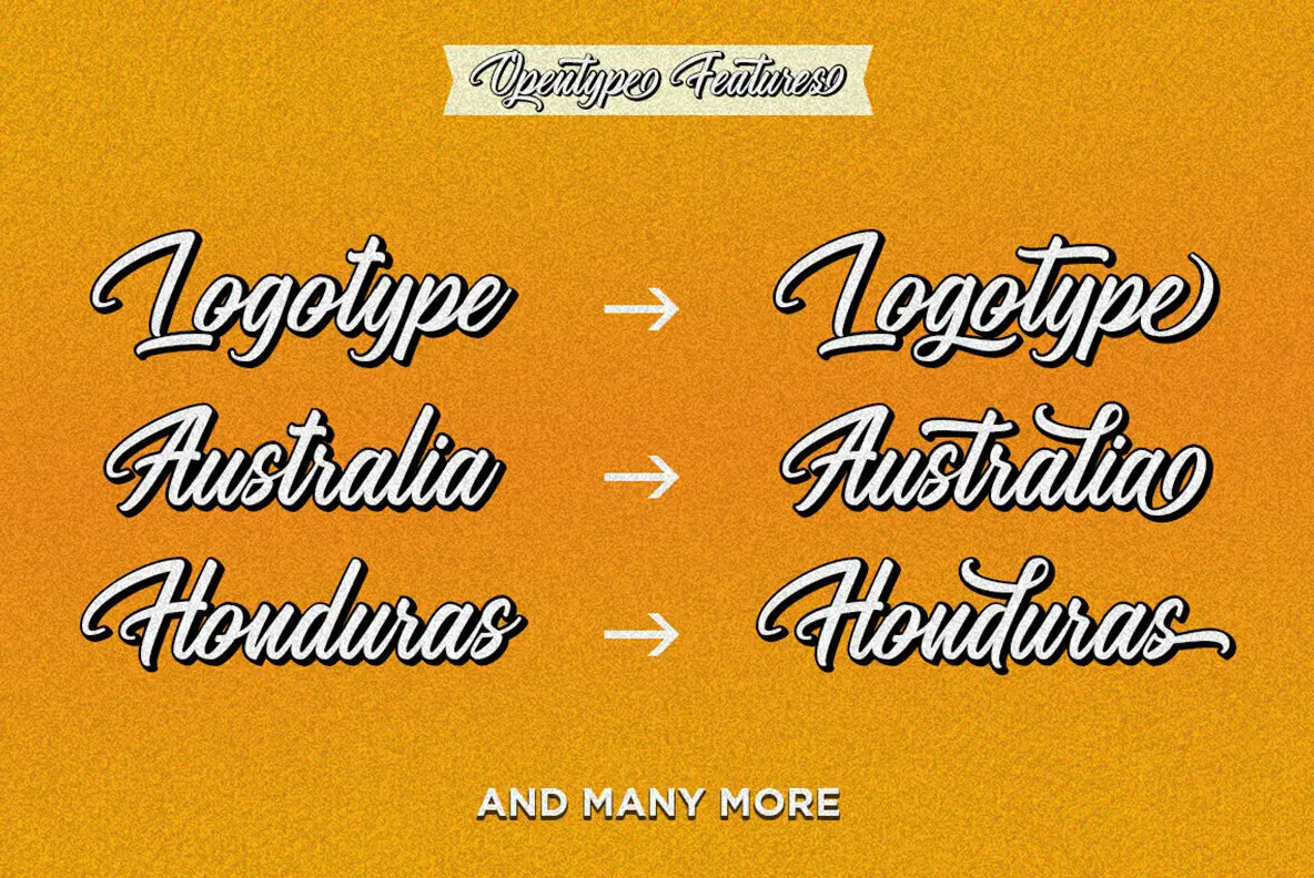 Megatype Script Font - YouWorkForThem