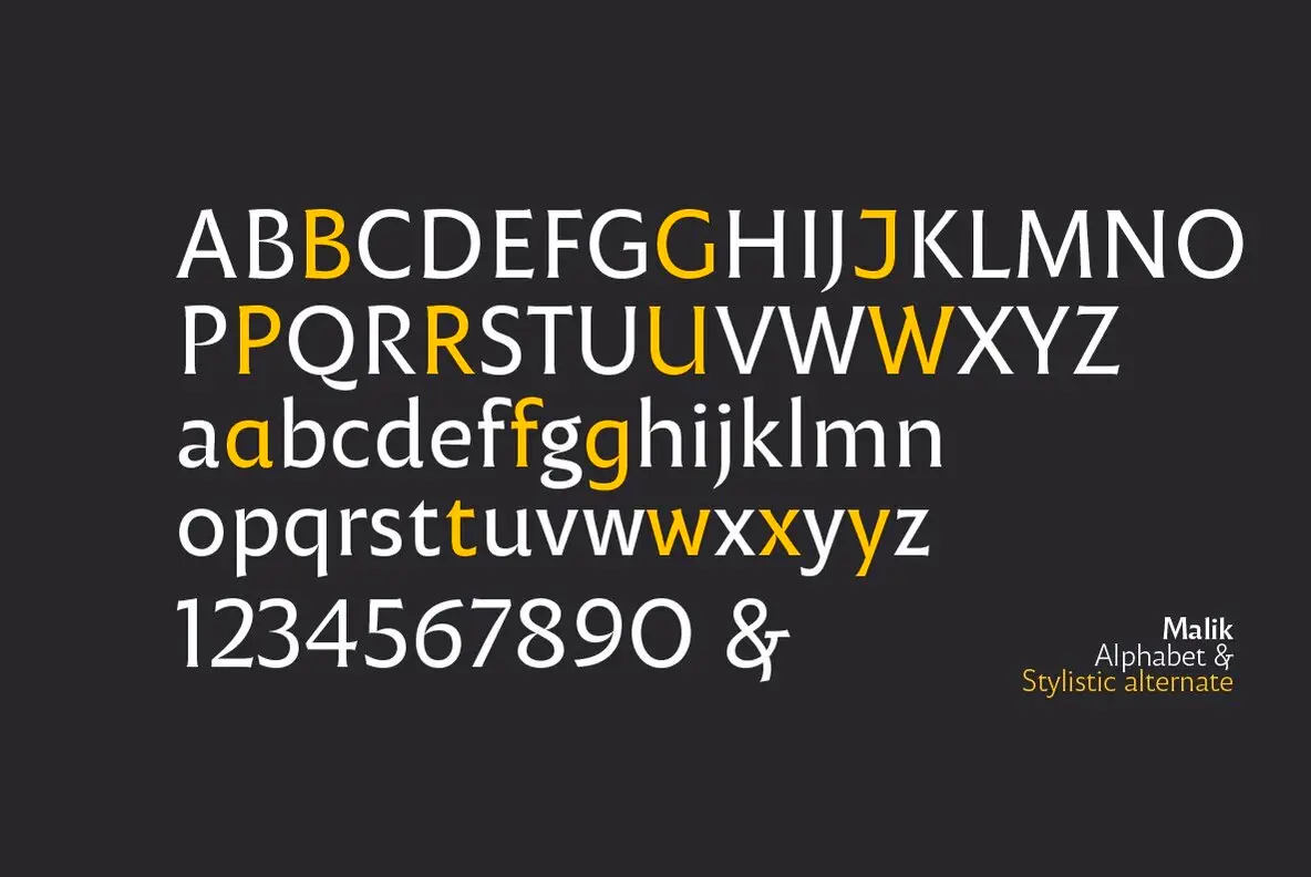 Malik Font - YouWorkForThem