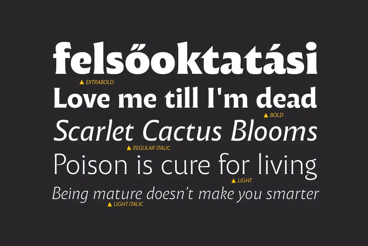 Malik Font - YouWorkForThem