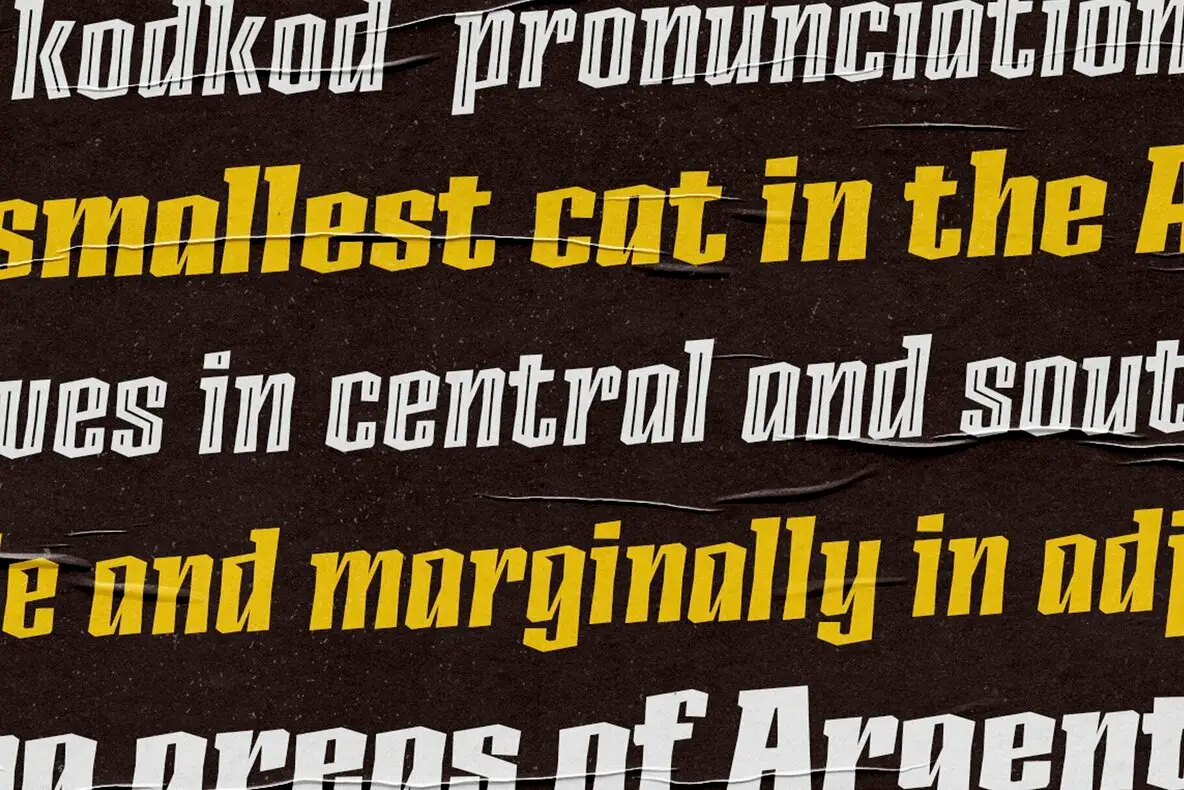 Ancoa Slanted Font - FontPath