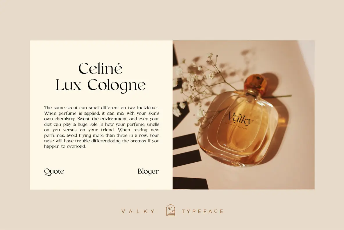 Valky Font - YouWorkForThem