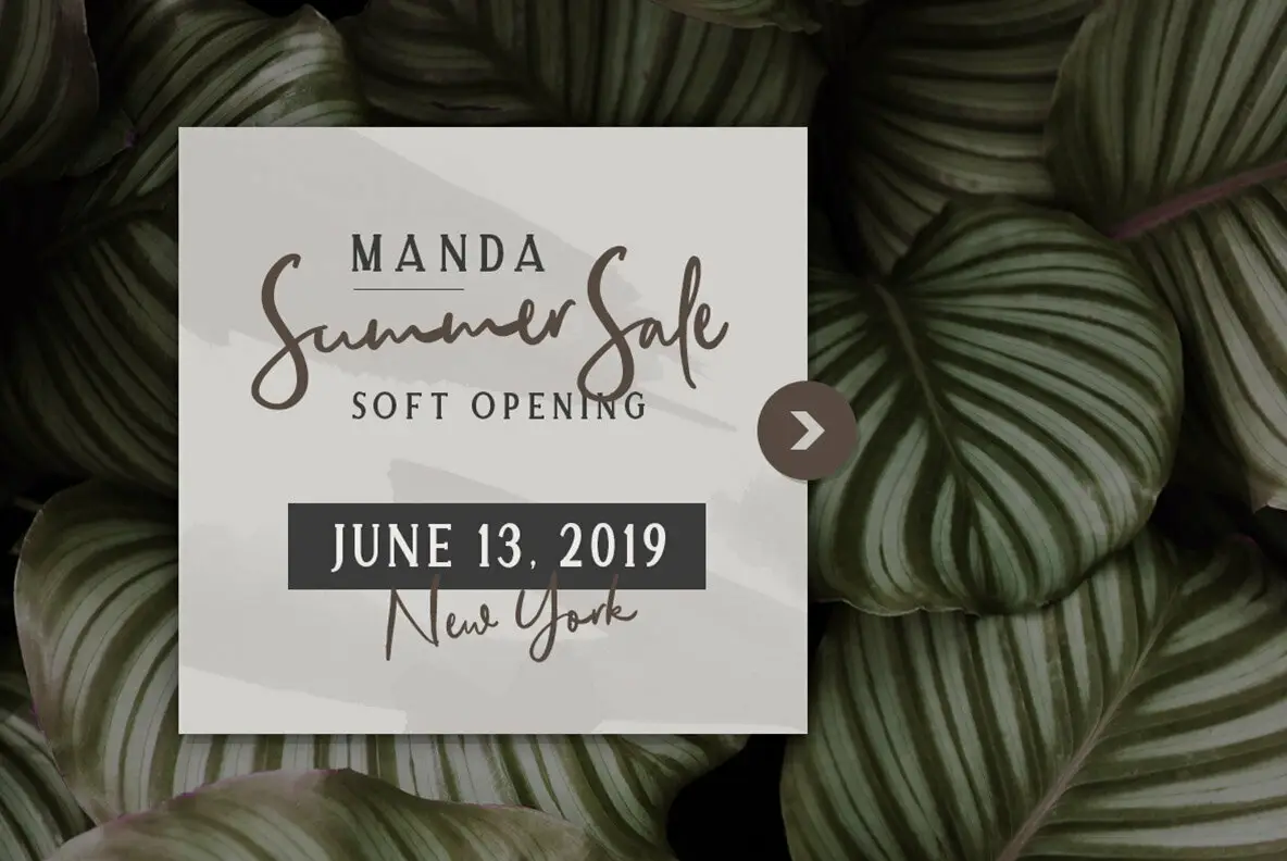 Allison Style Font Duo - YouWorkForThem