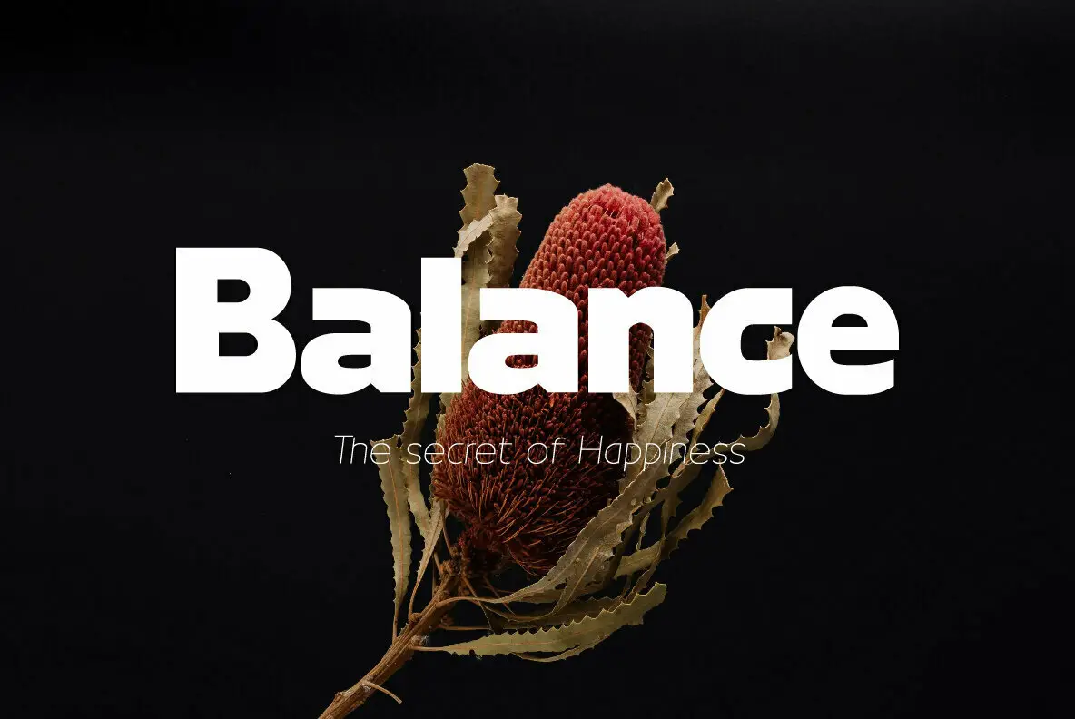 Neutral Jack Font - FontPath