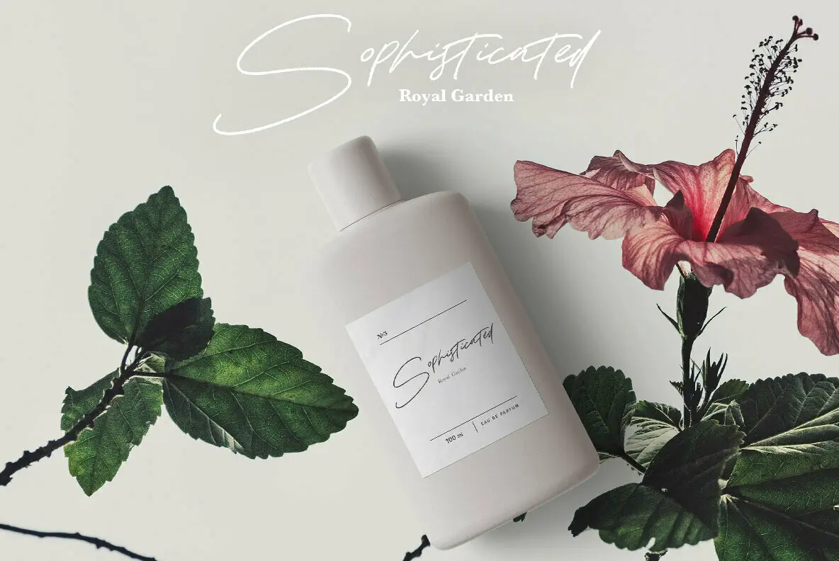 Bally Font - YouWorkForThem