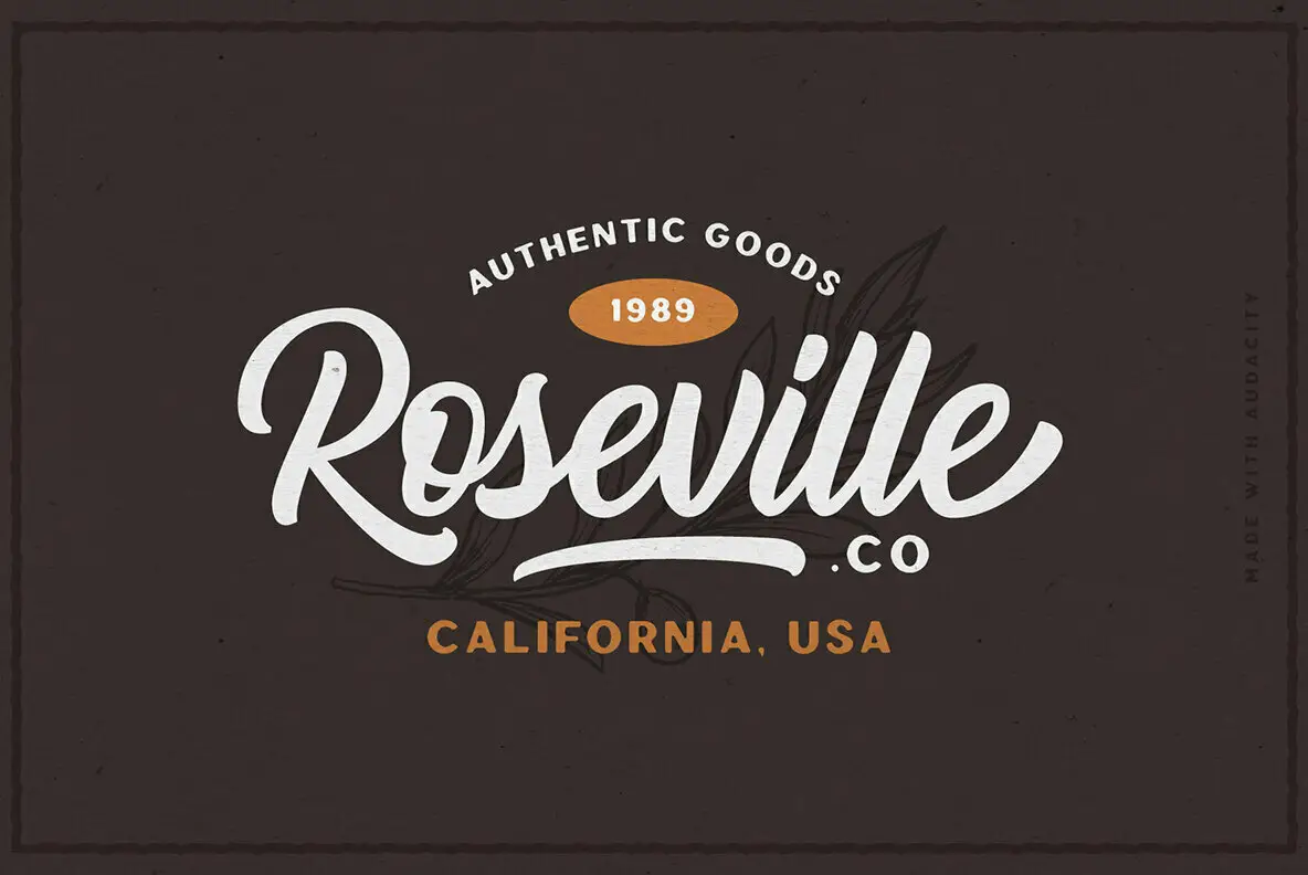 Audacity Font Duo - YouWorkForThem