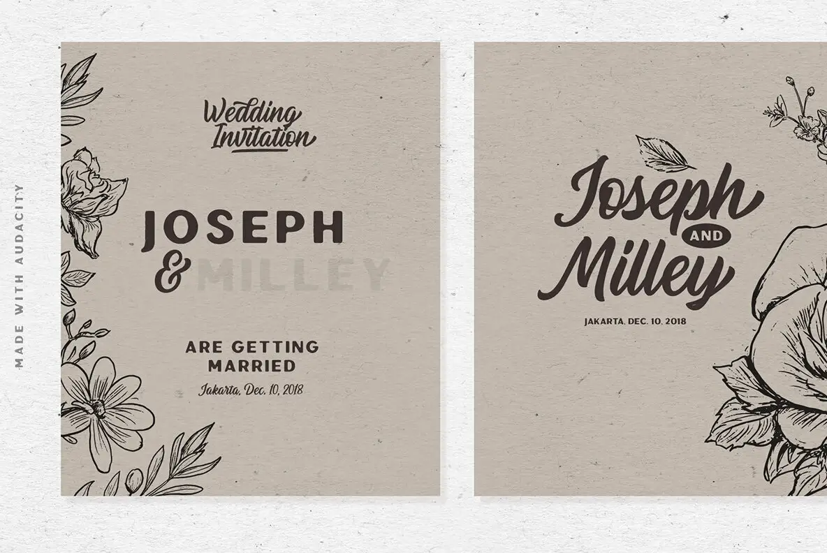 Audacity Font Duo - YouWorkForThem