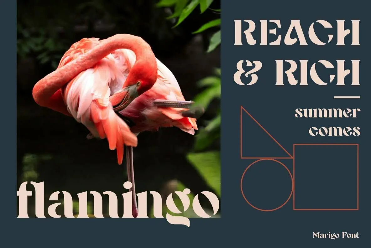 Marigo Font - YouWorkForThem