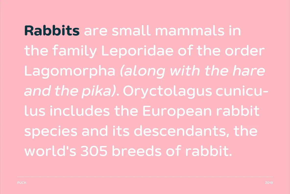 PUCK Font - FontPath