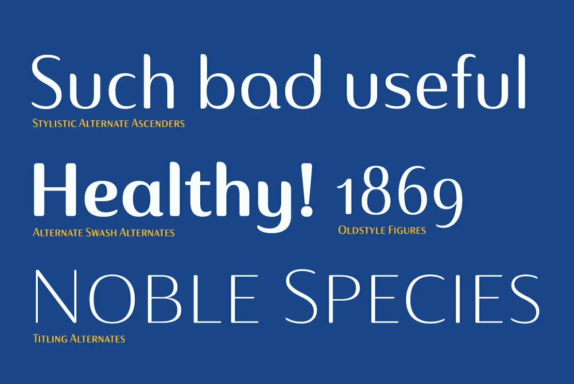 Ainslie Contrast Font - FontPath