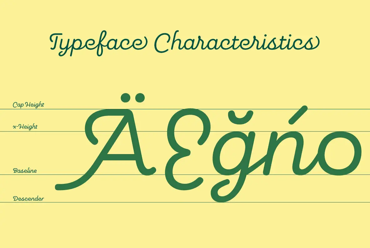 Pauline Script Font - FontPath