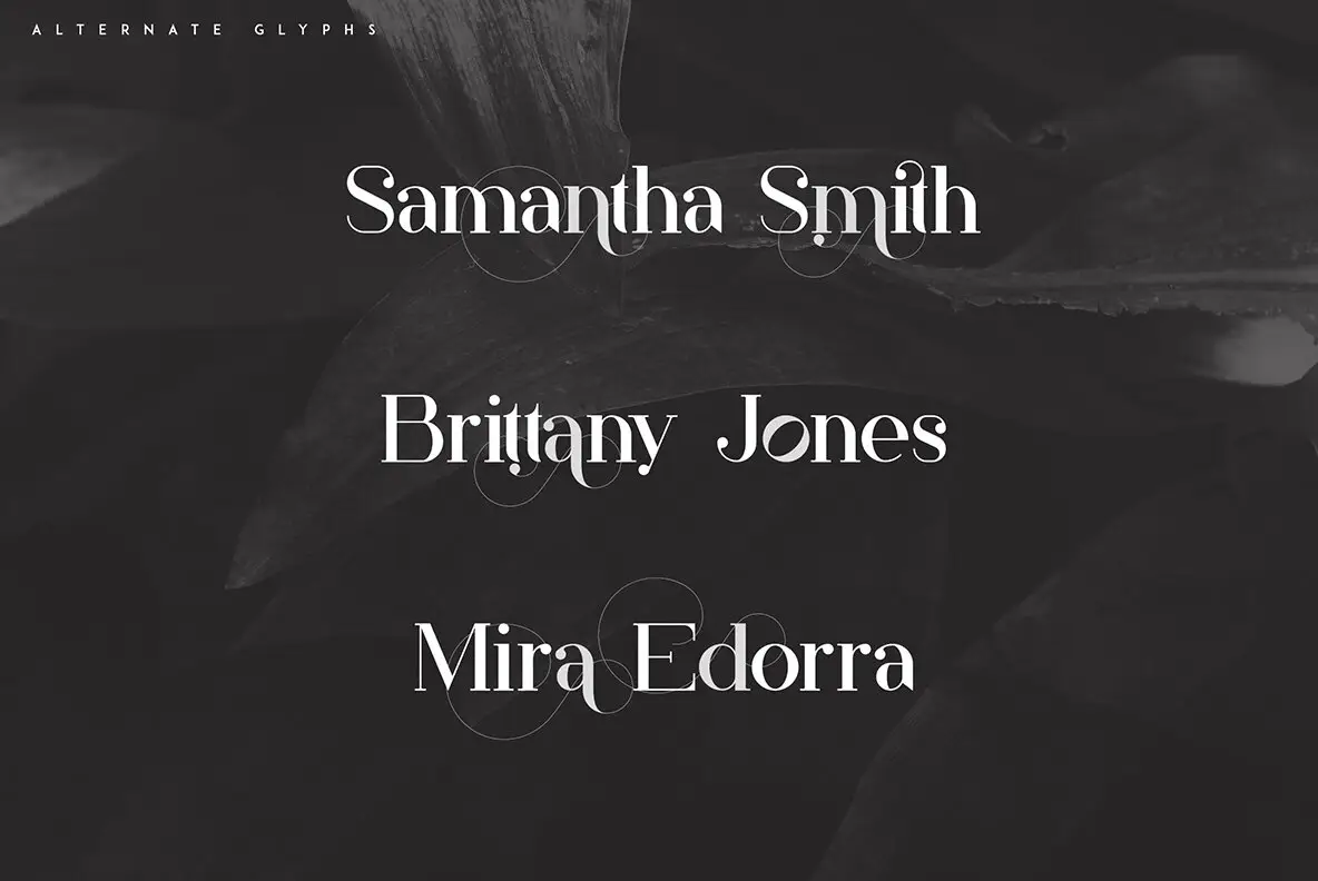 The Serif Font Collection Font - FontPath