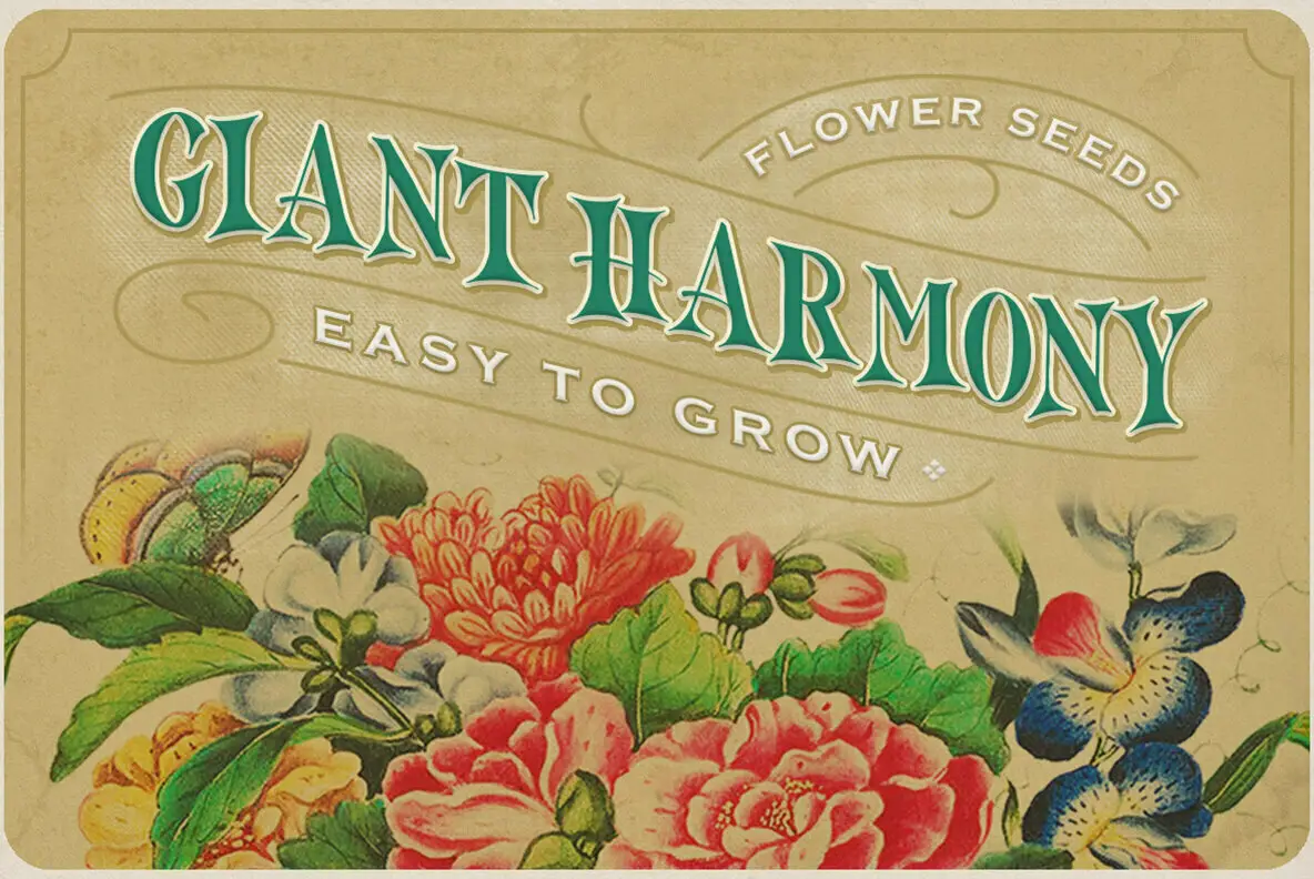 North Mountain Font - FontPath