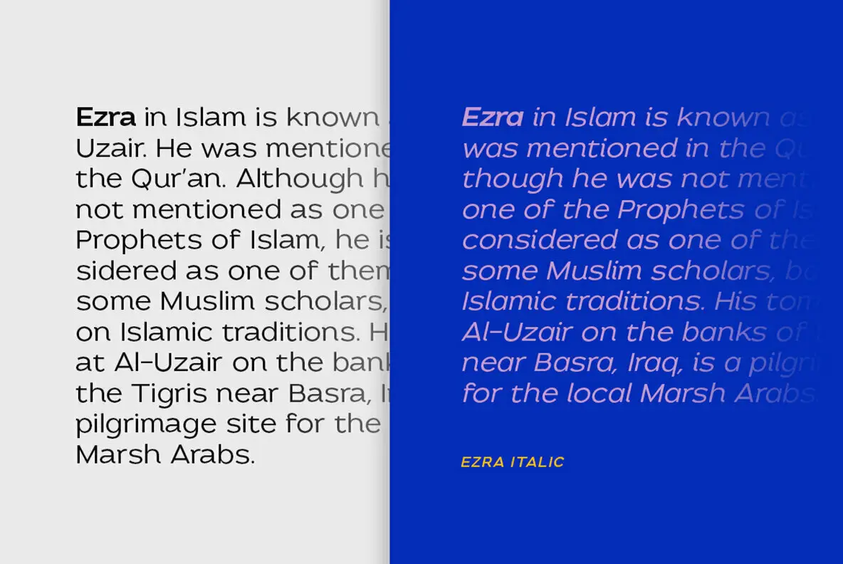 Ezra Font - YouWorkForThem