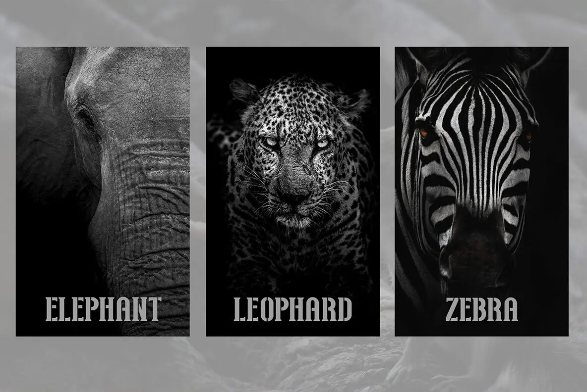 Northash Font - YouWorkForThem