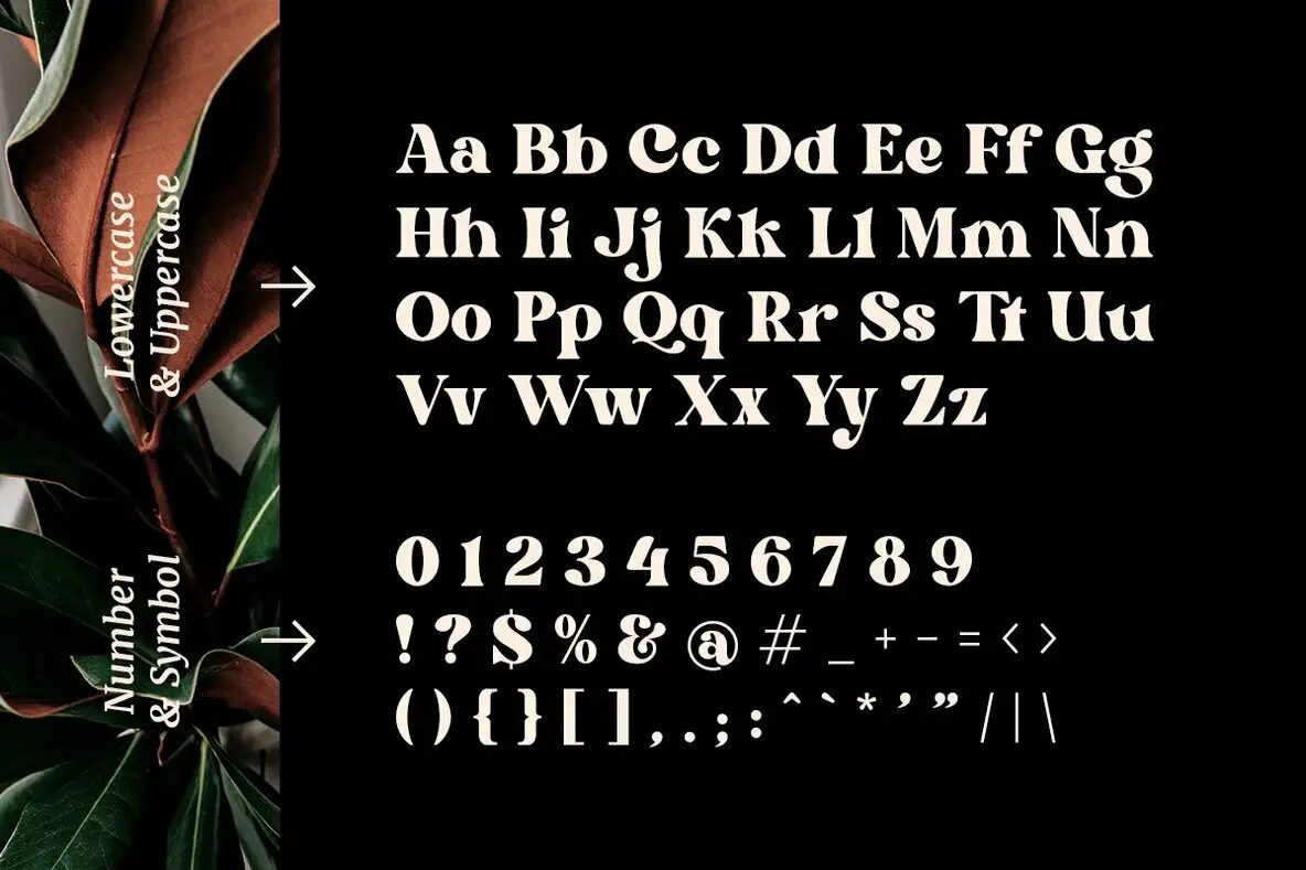 Bright Font - YouWorkForThem