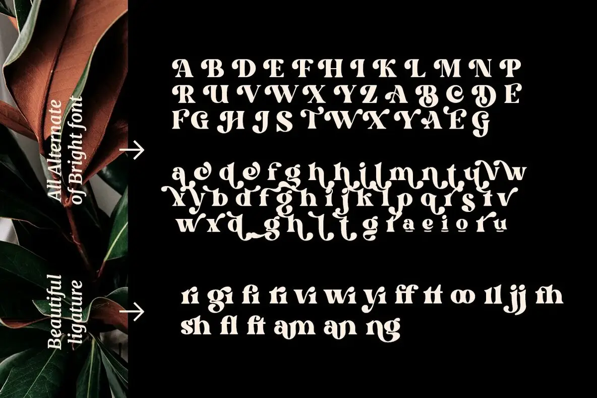 Bright Font - YouWorkForThem