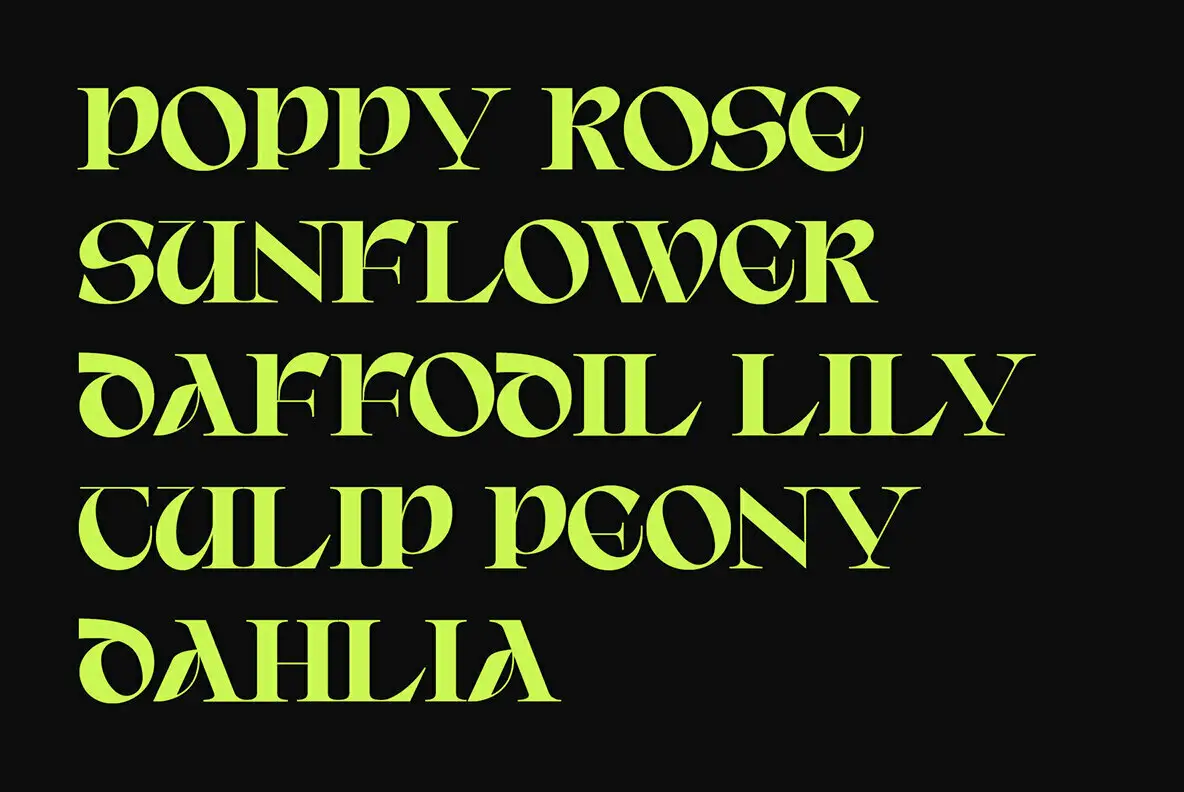 ED Brigid Font - FontPath