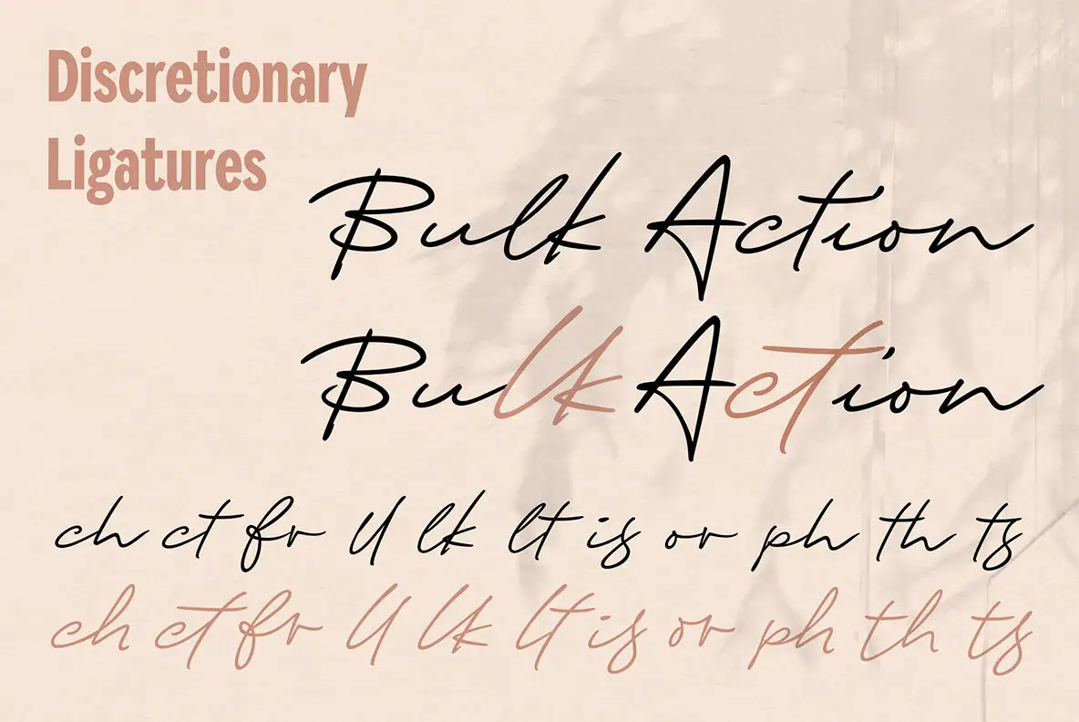 Ellie Script Font - YouWorkForThem