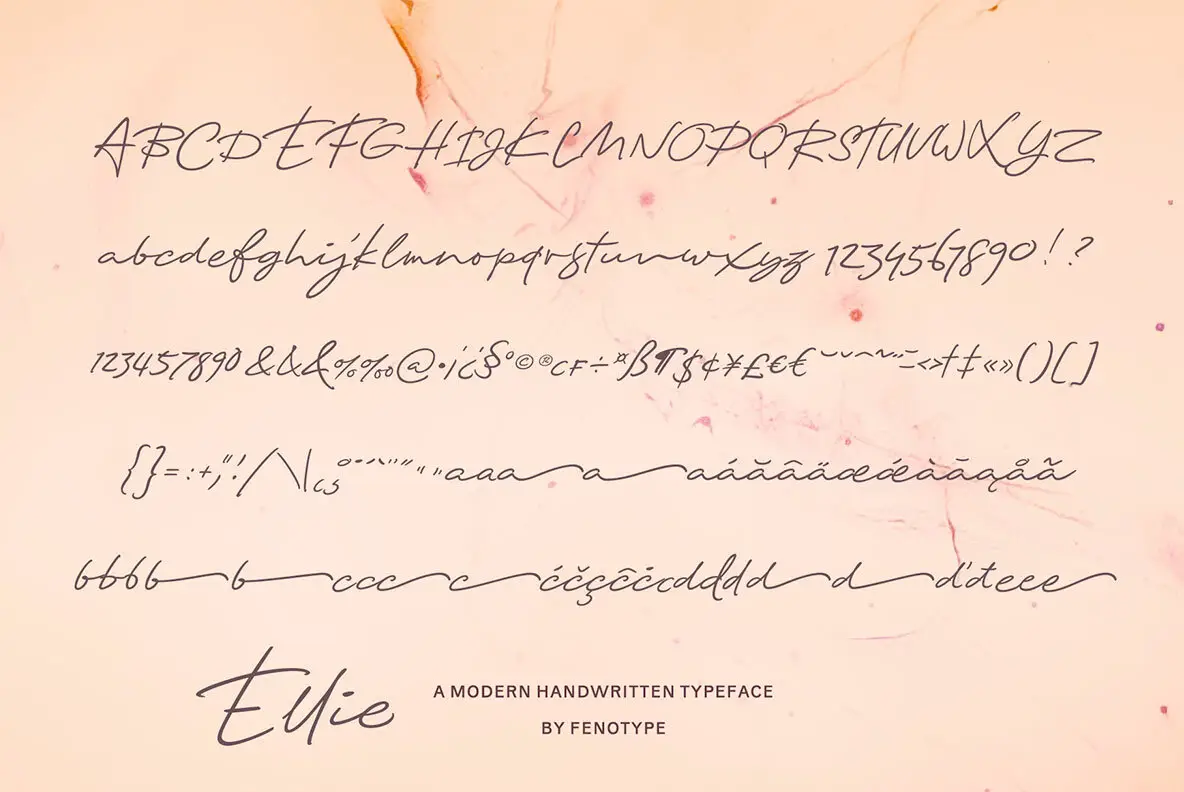 Ellie Script Font - YouWorkForThem