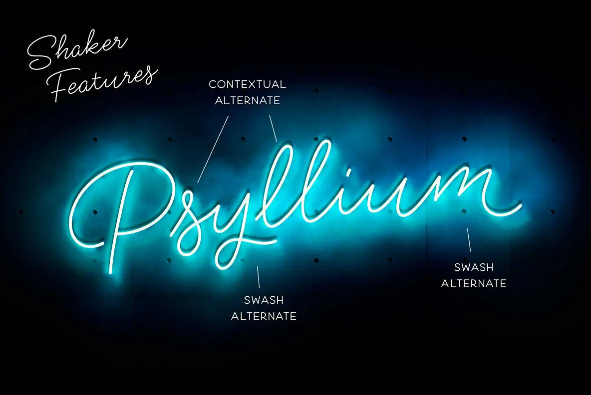 Shaker Script Font - YouWorkForThem