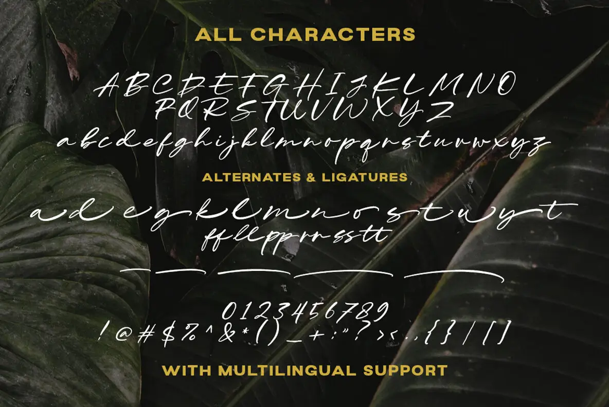 Grand Wilson Font - YouWorkForThem