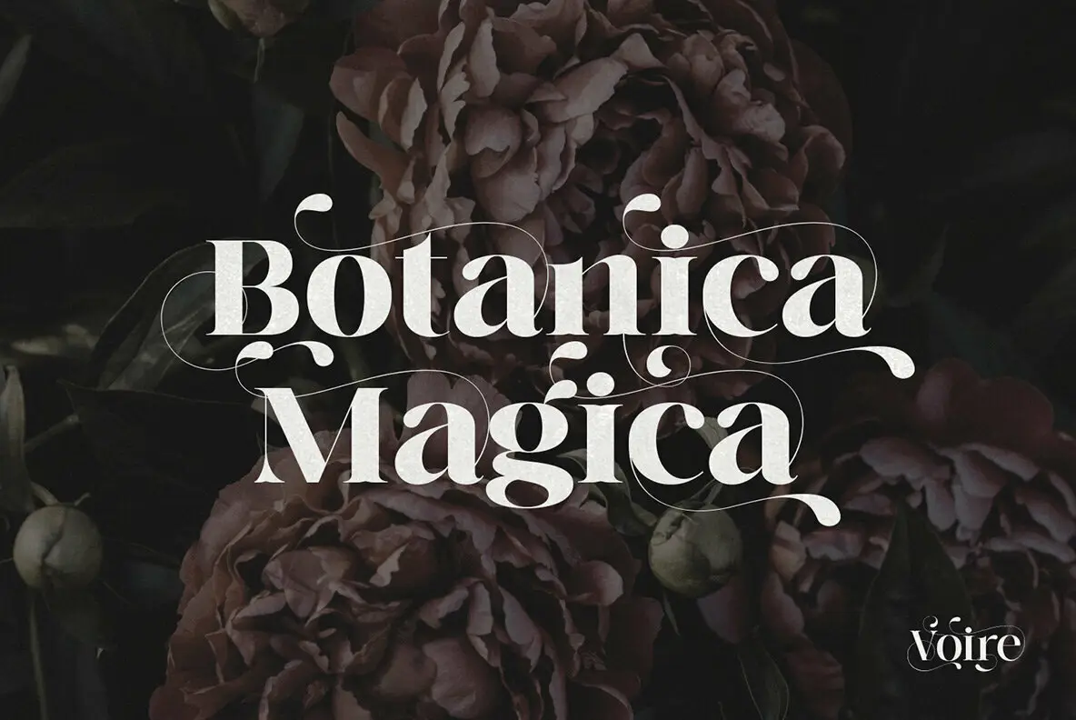 Voire Font - YouWorkForThem