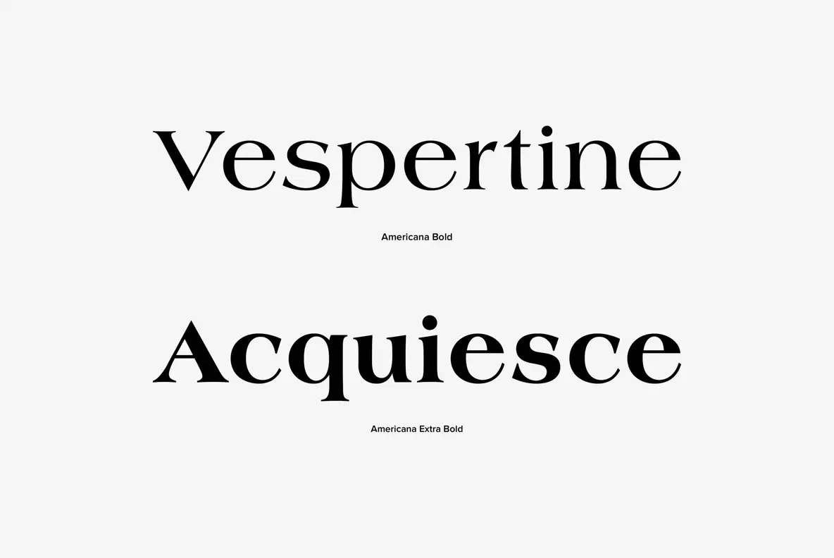 Americana Font - YouWorkForThem