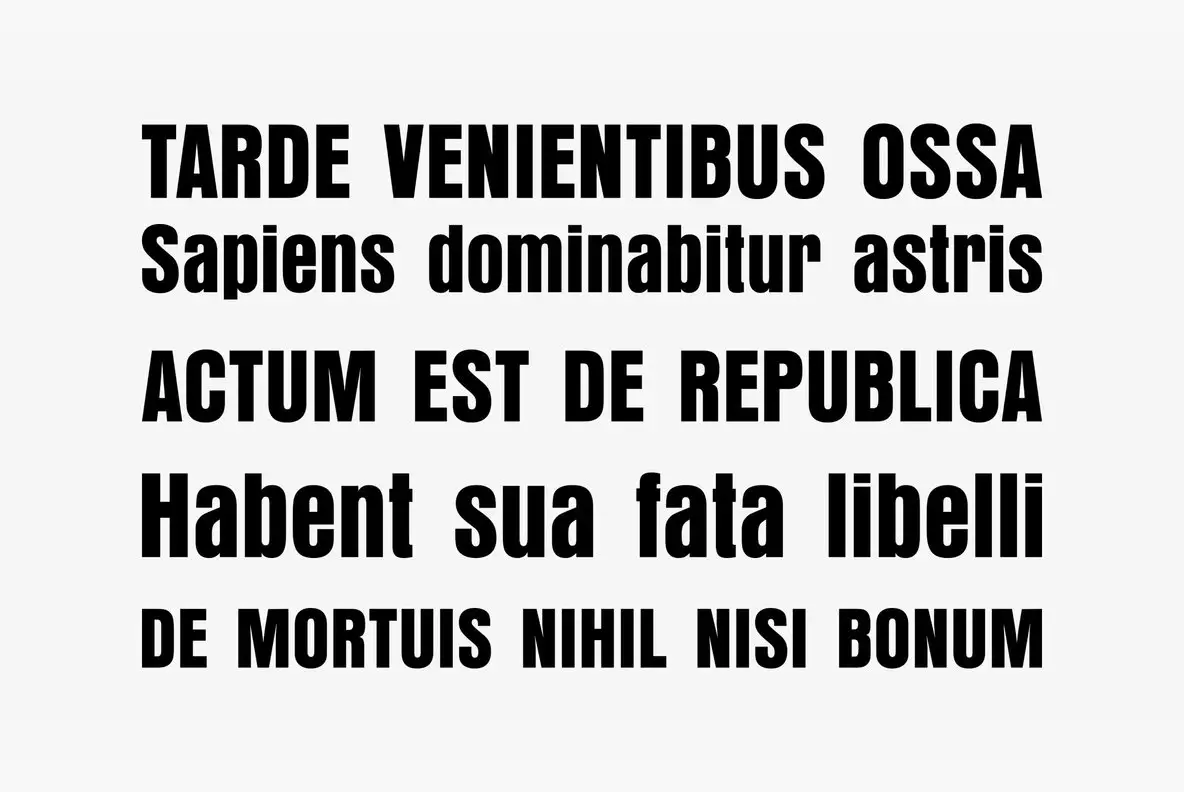 Anzeigen Grotesk Font - YouWorkForThem